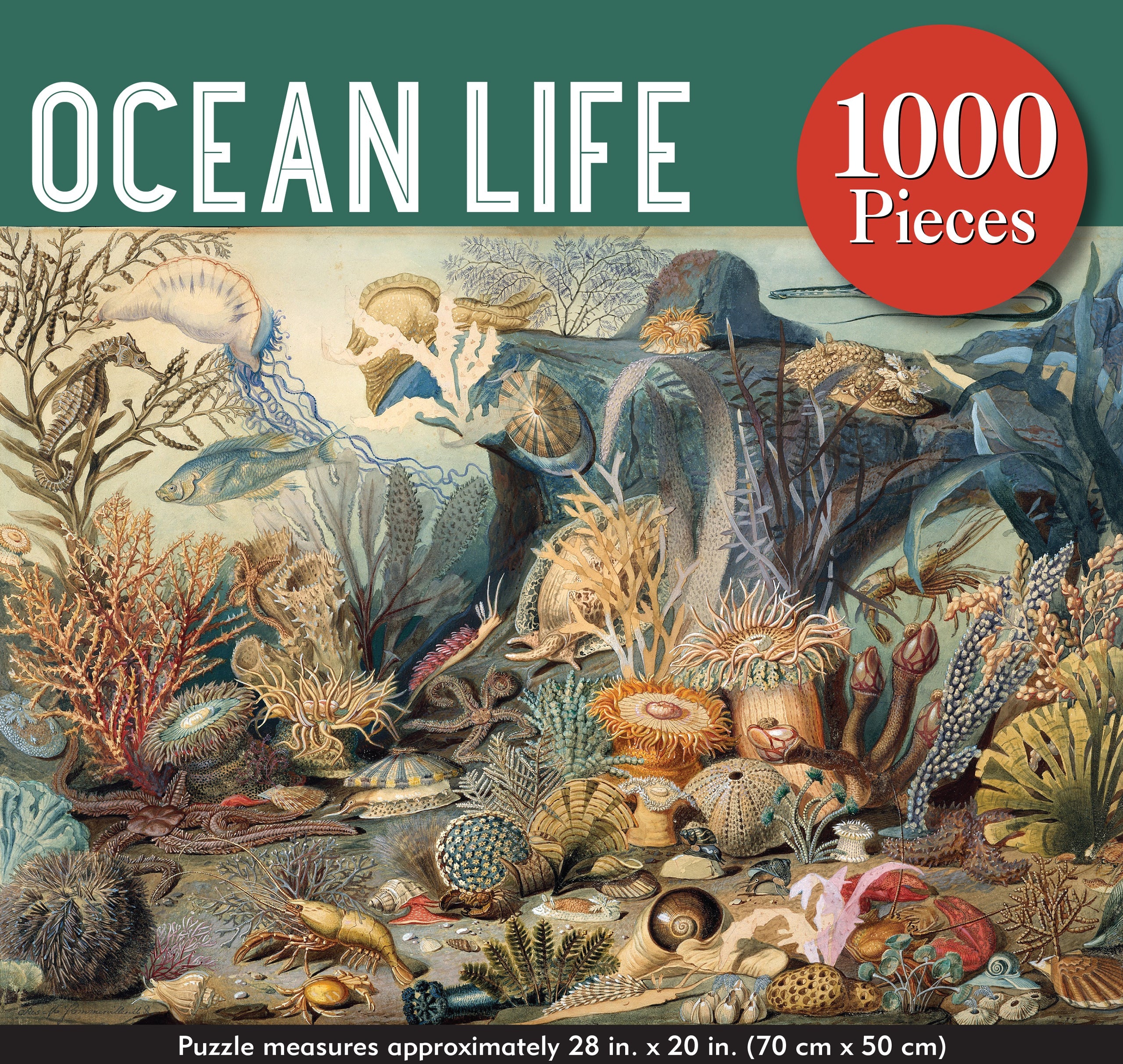 Ocean Life 1000 Piece Jigsaw Puzzle – Peter Pauper Press