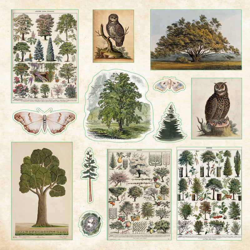 Enchanted Forest Sticker Book – Peter Pauper Press