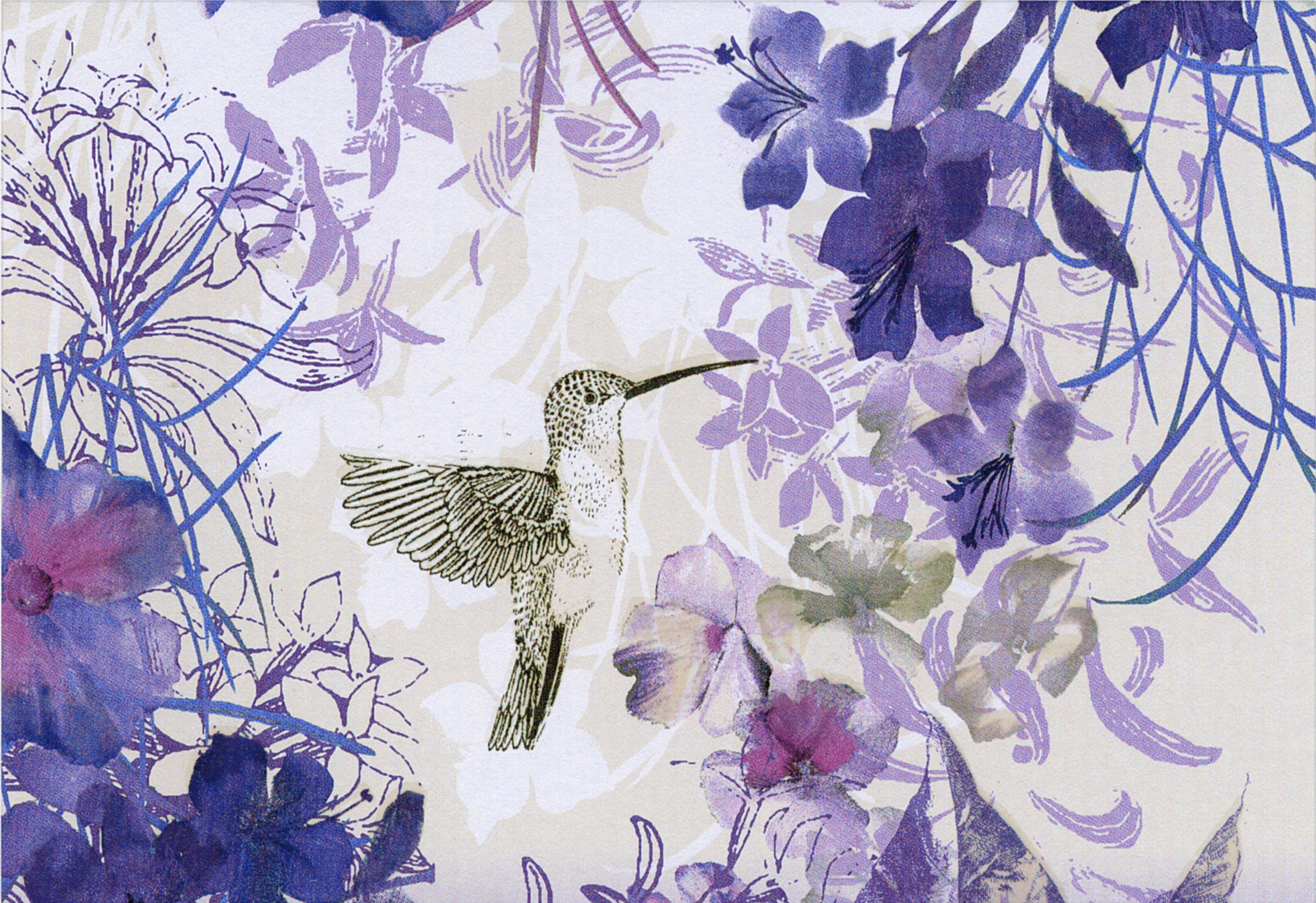 Hummingbird Note Cards – Peter Pauper Press