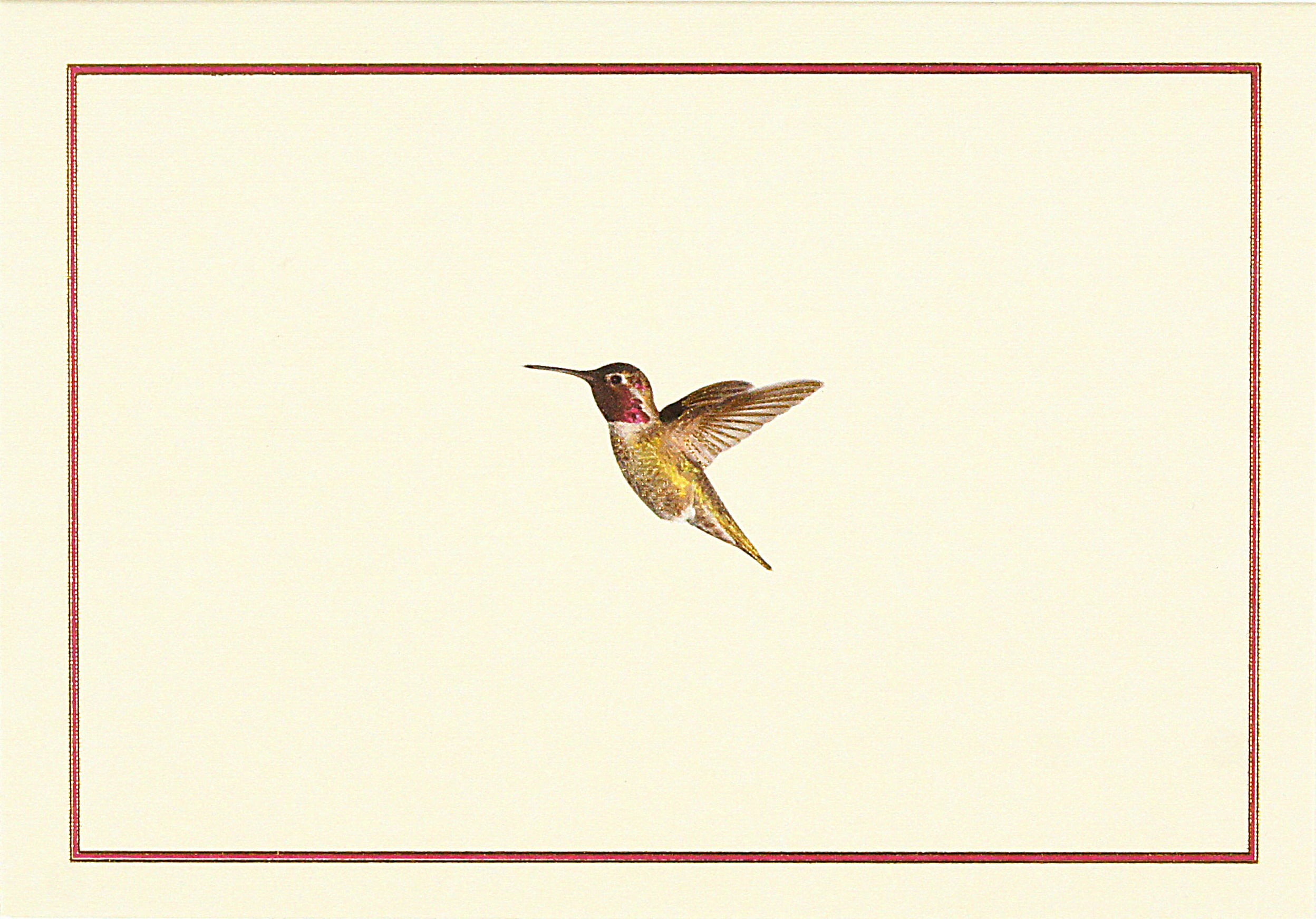 Hummingbird Flight Note Cards – Peter Pauper Press