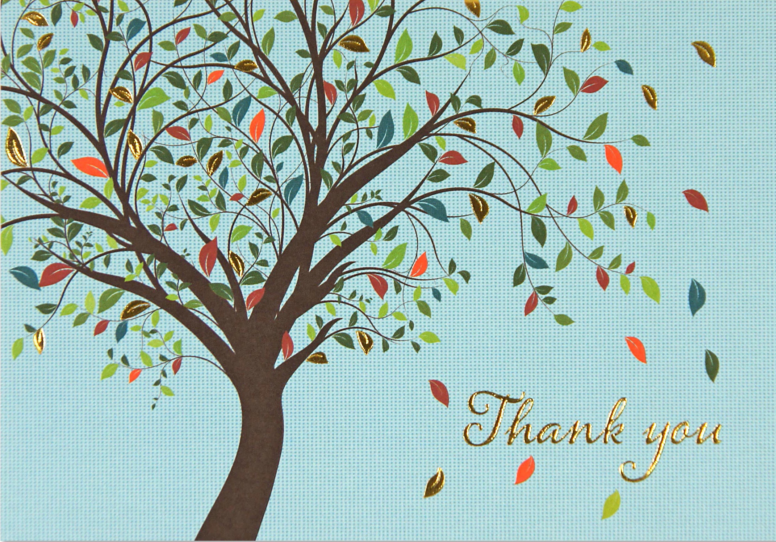 Tree of Life Thank You Notes – Peter Pauper Press