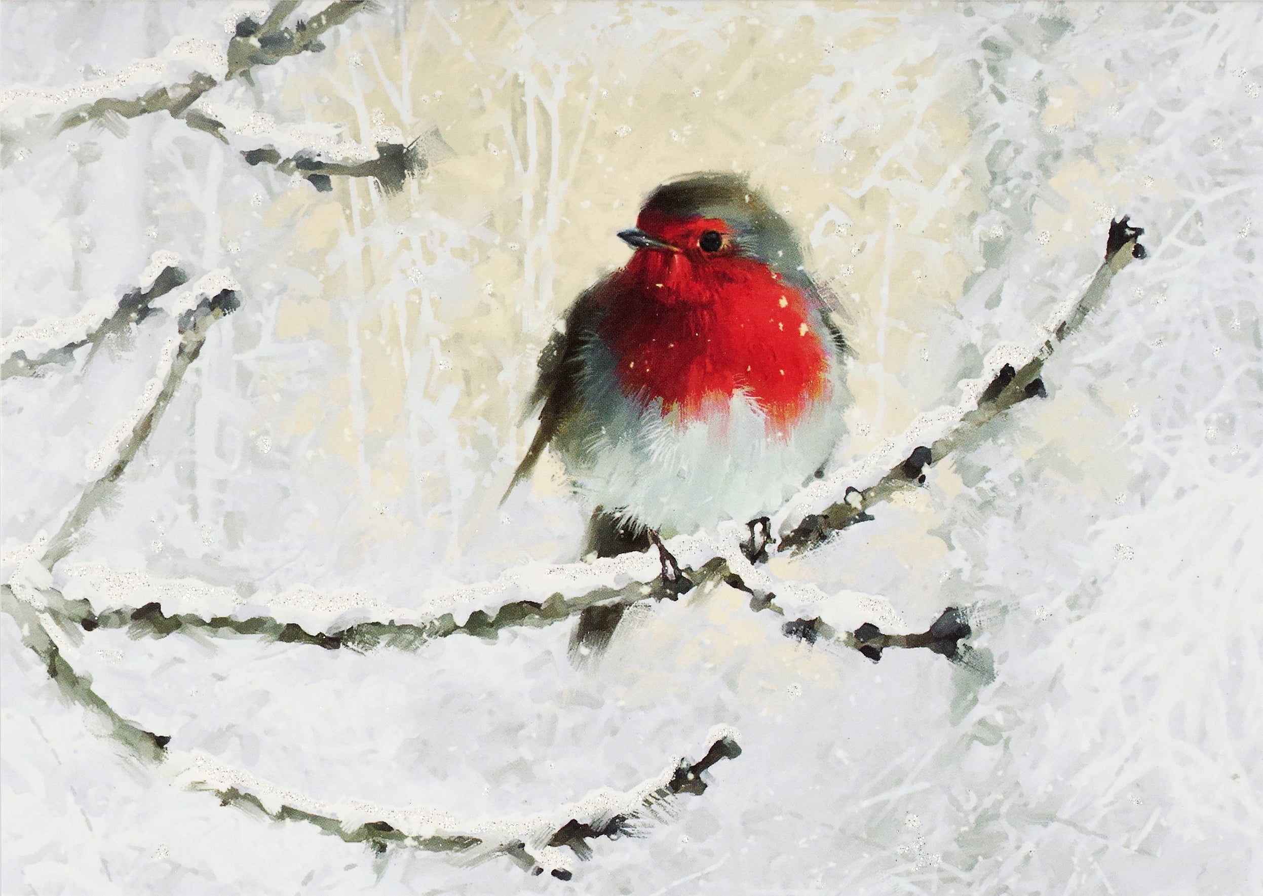 English Robin in Winter Deluxe Boxed Holiday Cards – Peter Pauper Press