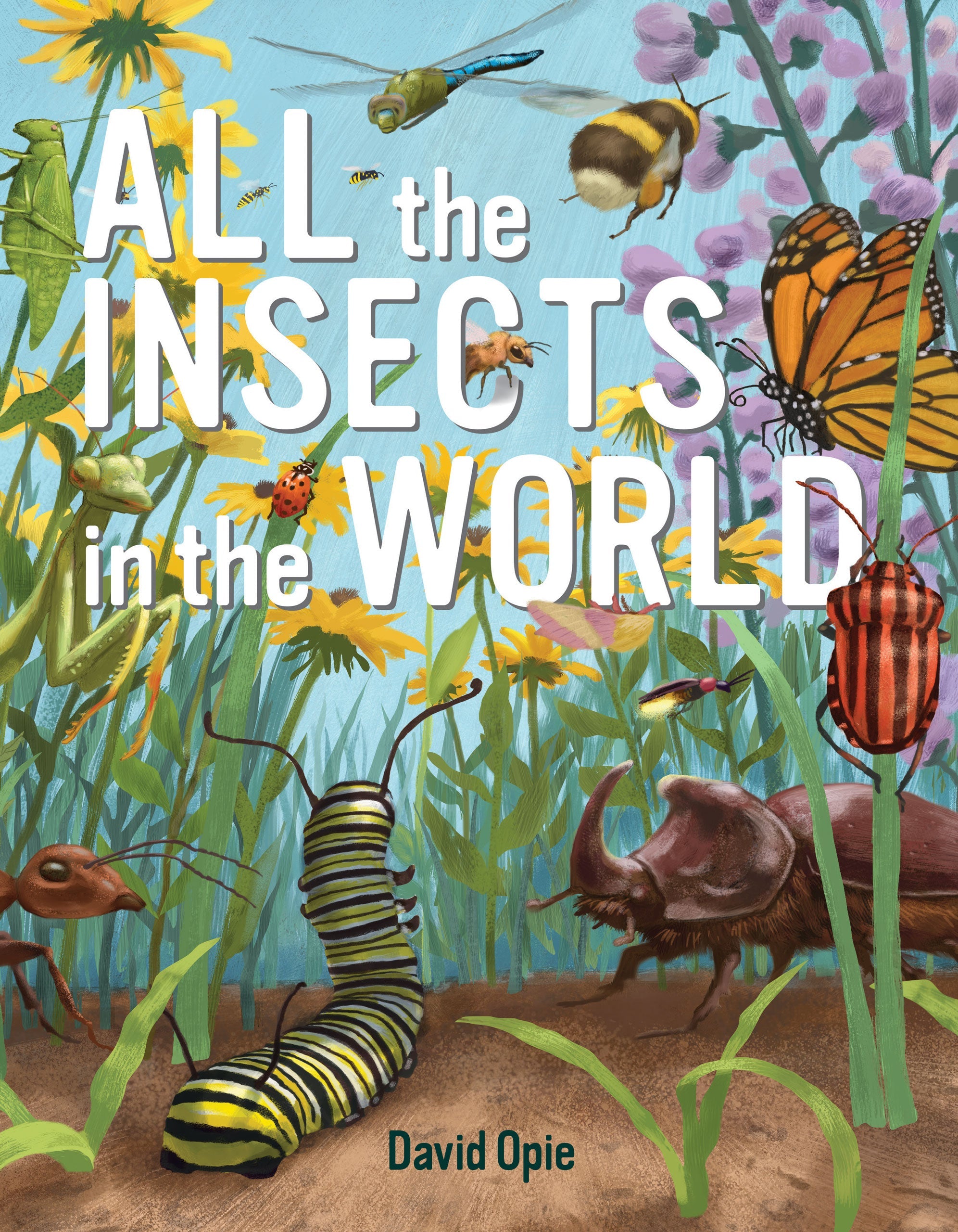 All the Insects in the World – Peter Pauper Press