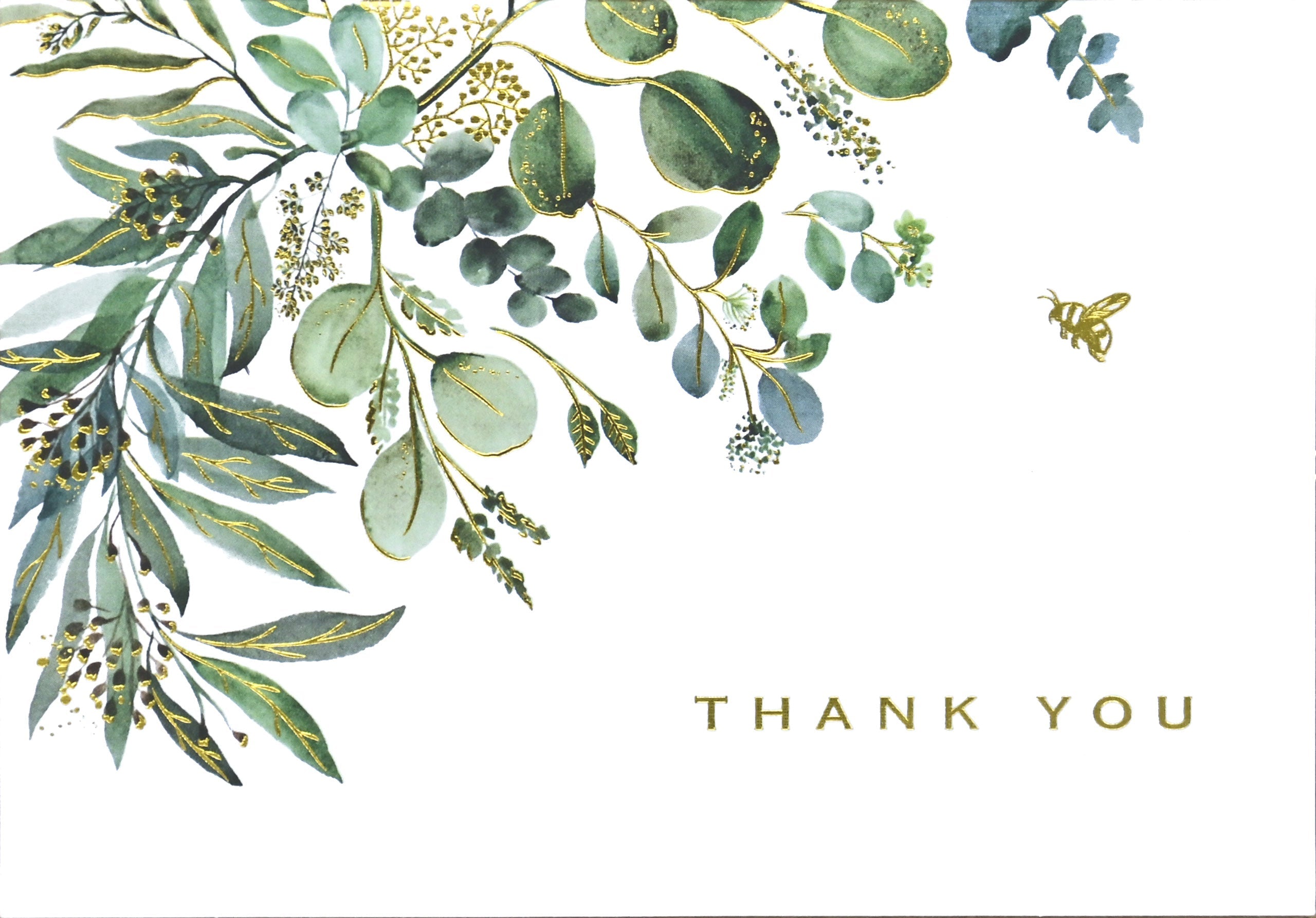 Eucalyptus Thank You Notes – Peter Pauper Press